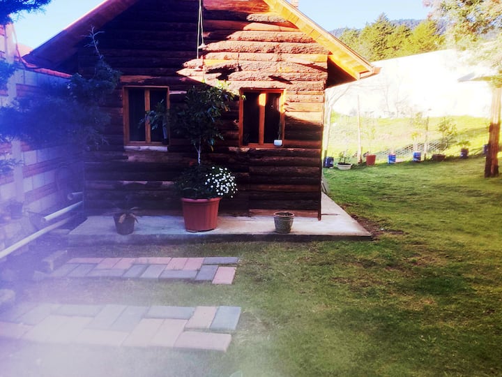 Convivencia, Familia, Reunión. - Pachuca