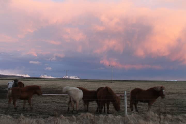 Mountain Queen Angelica 2 Beds By Eyjafjallajökull - Islande