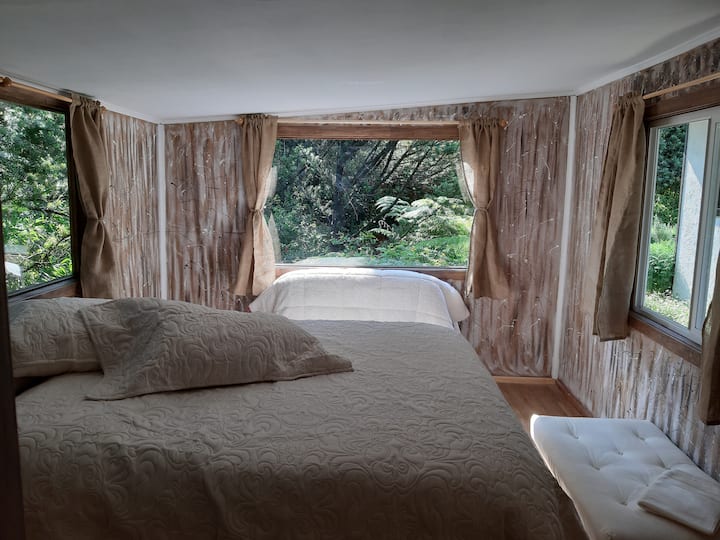 Eco Cabaña - Puerto Varas