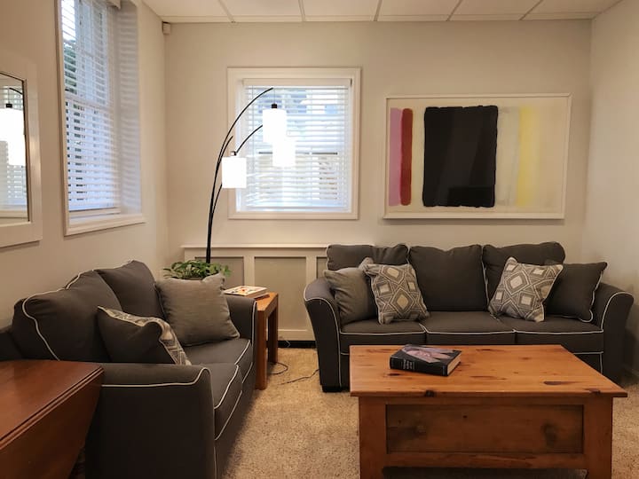 Sunny 1 Bd Apt In Chevy Chase Dc, Dog Friendly - Silver Spring, MD