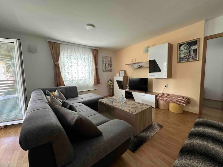 Apartman 1 Vile Dzavric - Zlatibor