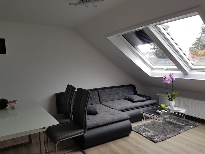 Cozy And Well Equipped Apartment - Mannheim