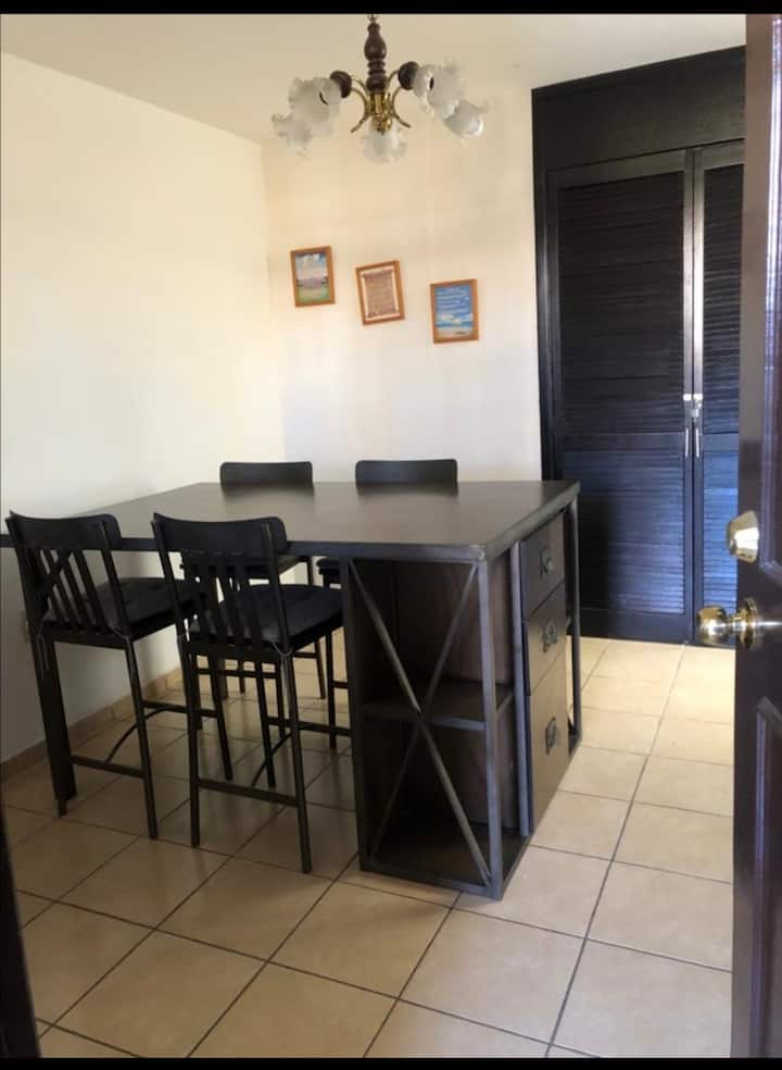 Excelente Ubicación Zona Norte, Amplia Y Segura - Aguascalientes