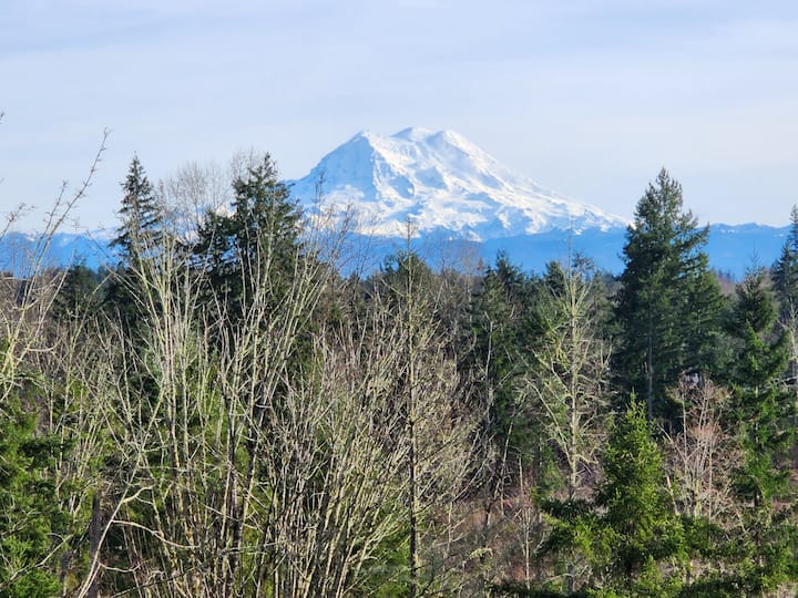 Yelm Area Country Home With Views Of Mt. Rainier - Washington
