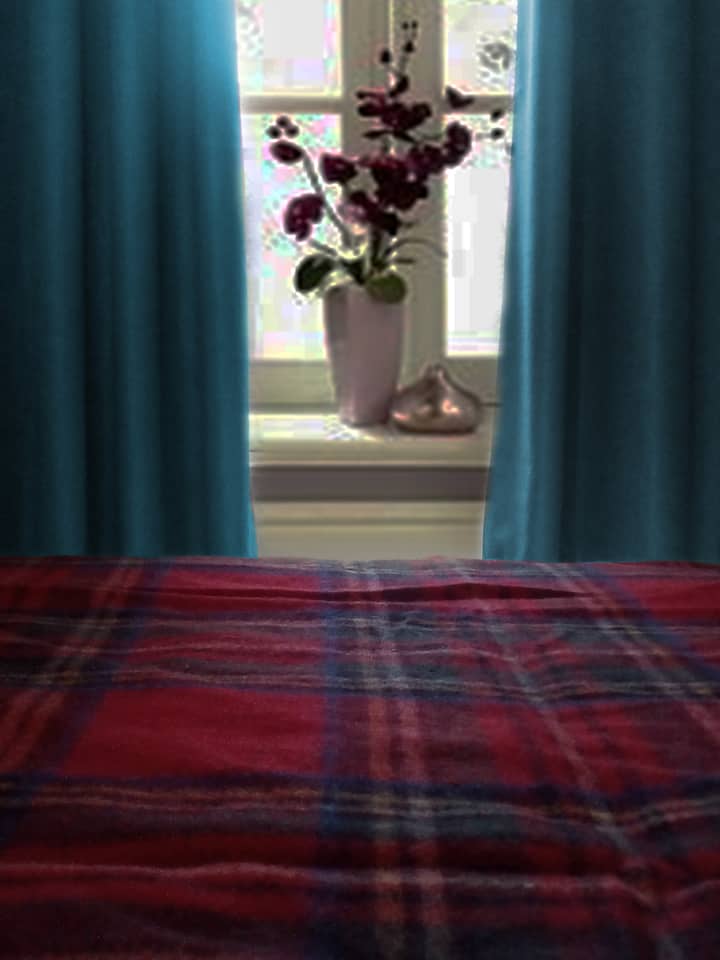 Double Room With Garden At Real City Centre - Edimburgo