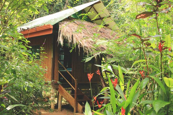 Top 10 Huts In Costa Rica: Discover Nature At Its Finest - | Trip101