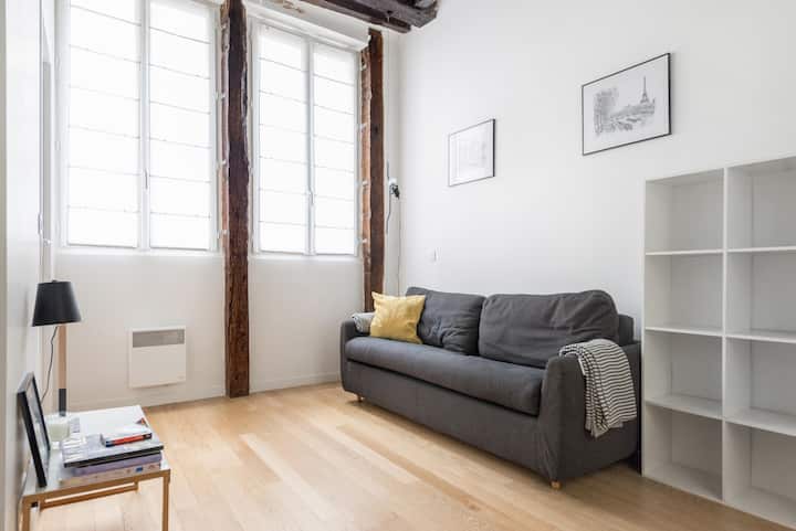 Cozy 1 Room Studio Heart Marais