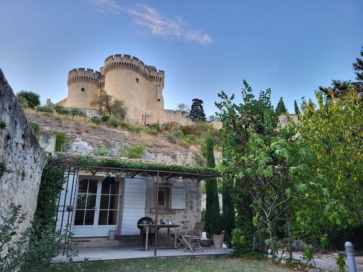 In Xvi°c Estate Close Avignon Historic Center + Pk - Villeneuve-lès-Avignon