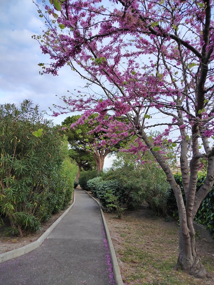 Près De La Plage. Dans Un Parc De Verdure. - Le Grau-du-Roi