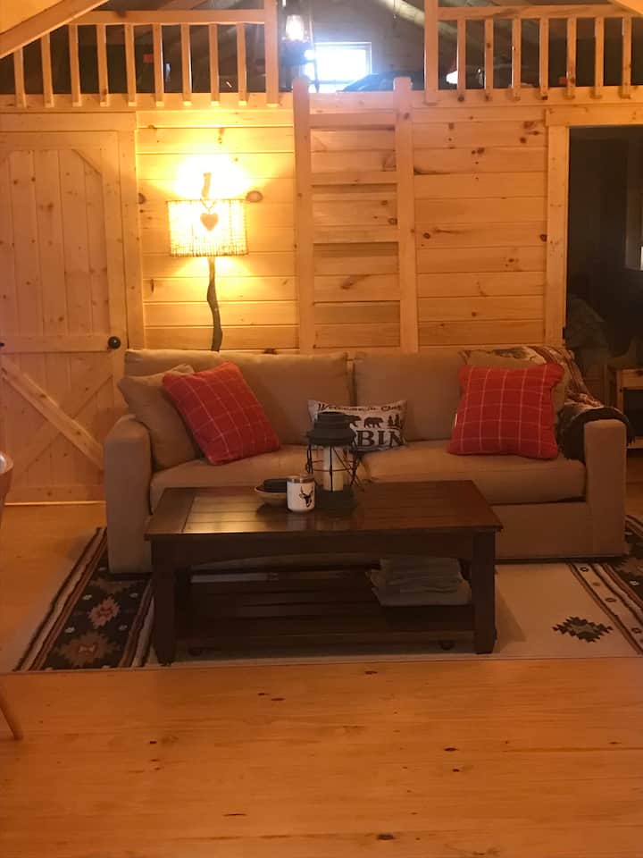 Cozy Cabin Modern Walking Distance To Watoga Park - Watoga State Park, Marlinton