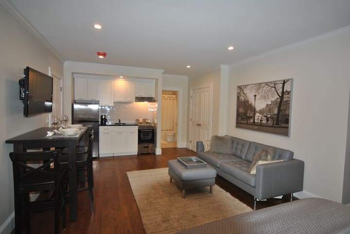 Gorgeous Audubon Circle Studios (2) - Boston