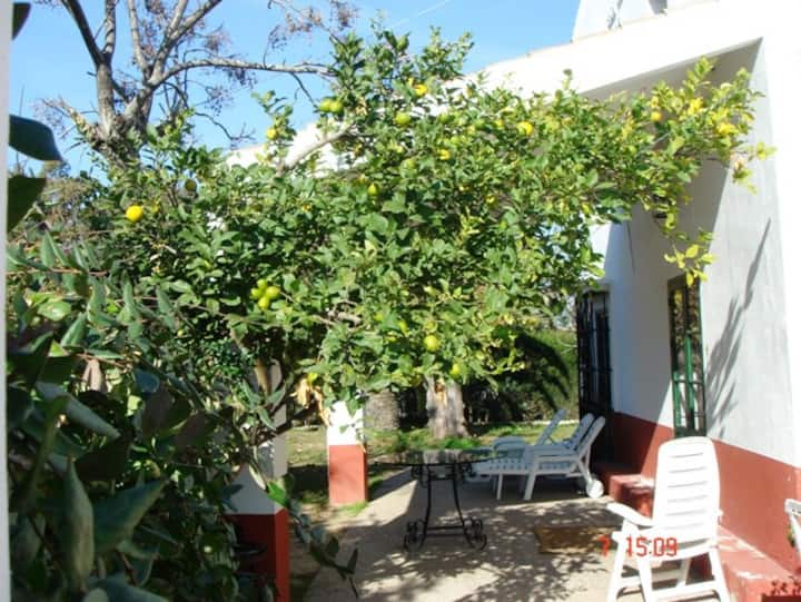 Casa San José De Calasanz (Casa Grande) - Sanlúcar de Barrameda