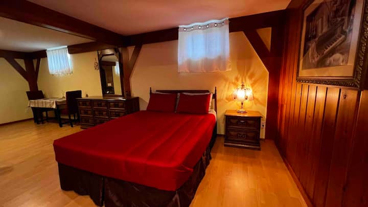 Spacious Unit With Fireplace And Private Entrance - Thunder Bay