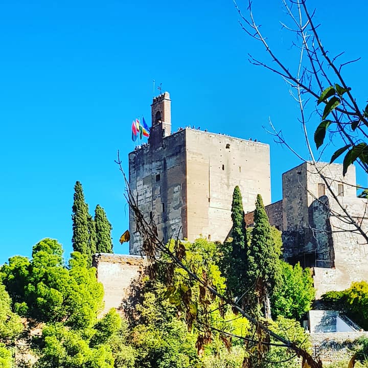 Cerca De Todo, Fácil Aparcar*, Coqueto, Nuevo. - Granada