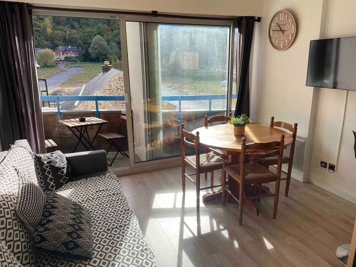 Location Appartement 4-6 Pers Plein Centre St Lary - Hautes-Pyrénées