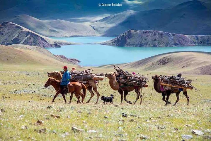 Nomad Discovery - Mongolia