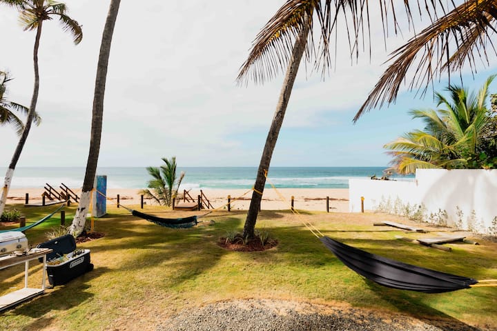 White Nest At The Beach - Arecibo