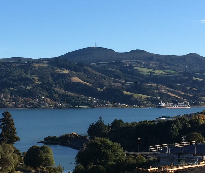 Dunedin Peninsula- Unobstructed Harbour Views - Dunedin