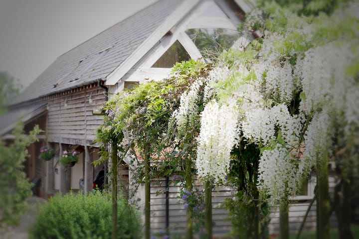 Acorn Barn On The Edge Of Dartmoor - Dartmoor Forest