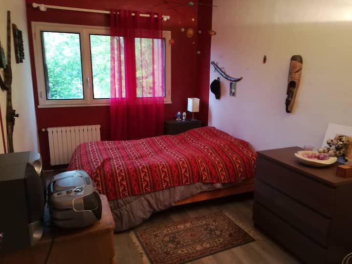 Chambre Calme Sur Jardin Dans Petite Maison. - Rosny-sous-Bois
