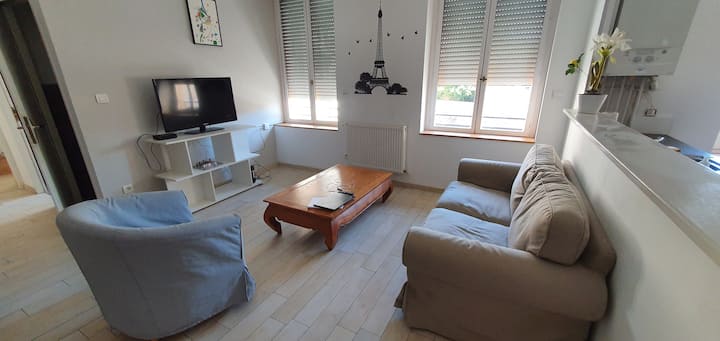 Meublé Cosy Proche Commodités - Saint-Étienne
