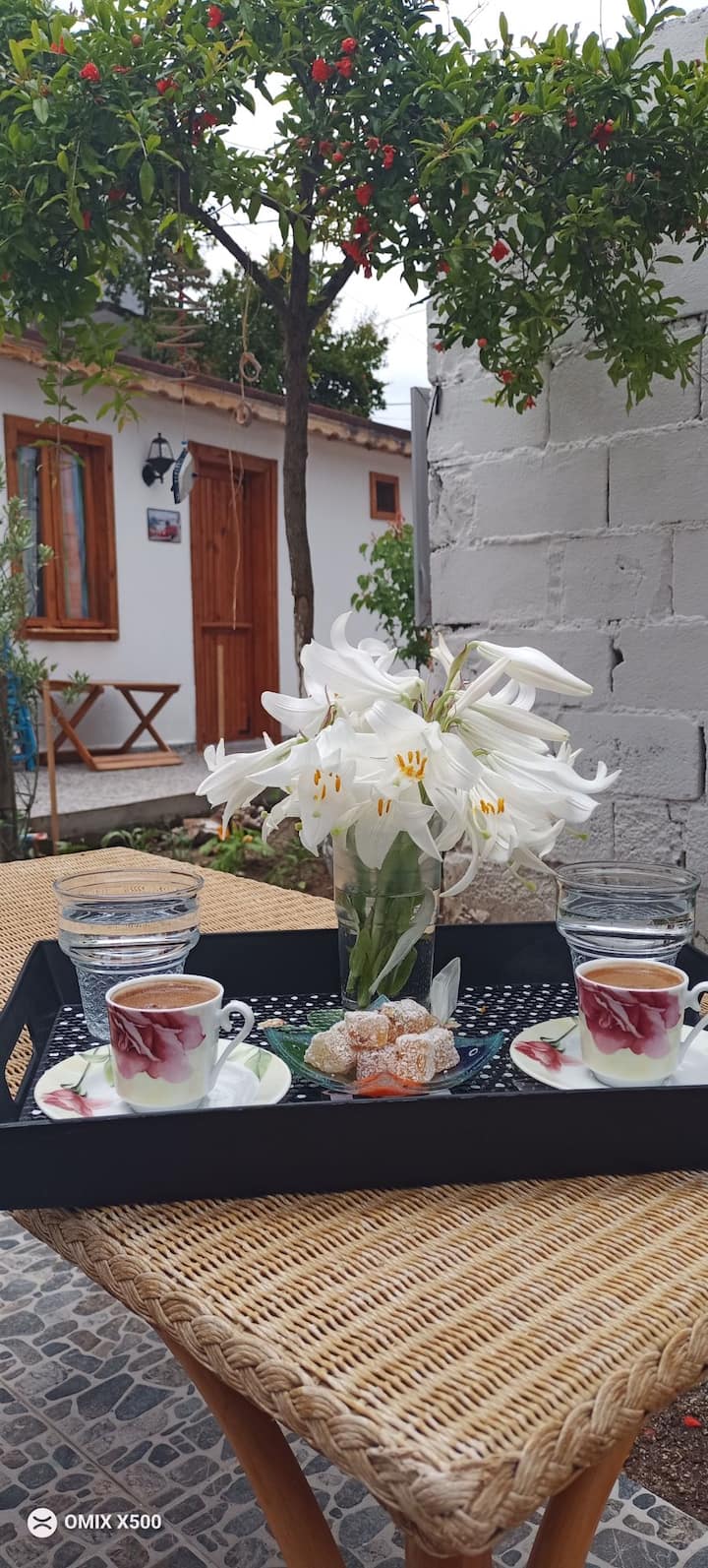 Bahçeli Misafir Oda (Limon)(i̇zin No:17-693) - Geyikli