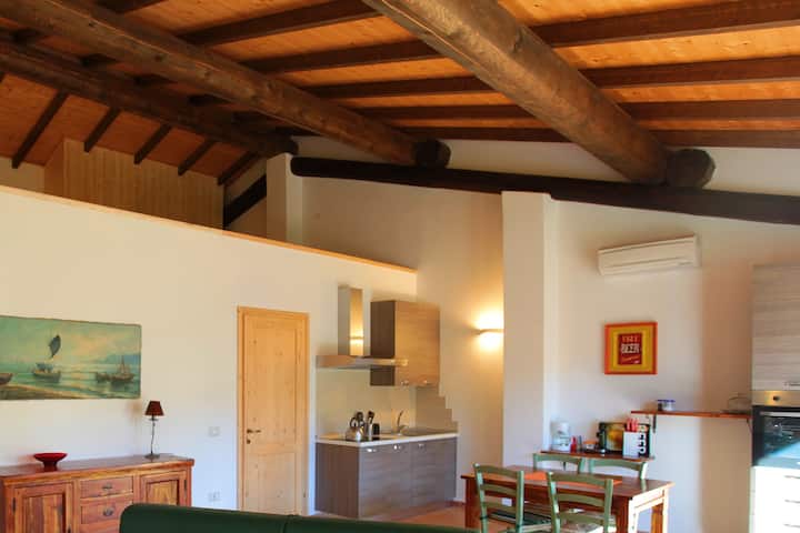 Corte Attìlea, Loft "Unnicum" Con Giardino - Valeggio sul Mincio