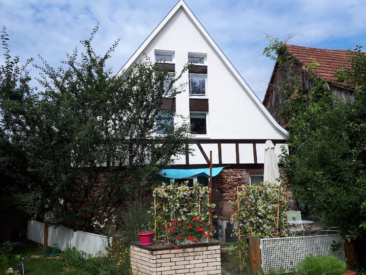 Charmant 5 Pièces Situé Au Coeur De L'alsace! - Bas-Rhin