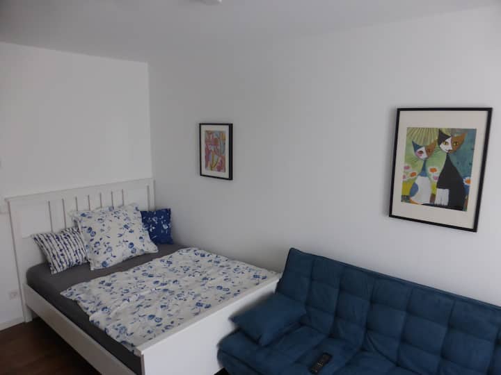 Toll Eingerichtetes Zimmer In Bester Altstadt Lage - Regensburg