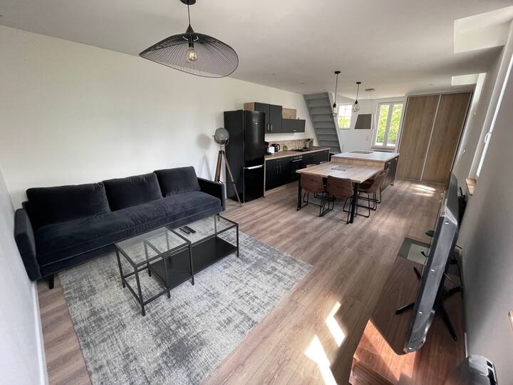 Charmante Maison De Ville T3 Climatisé En Duplex - Dijon