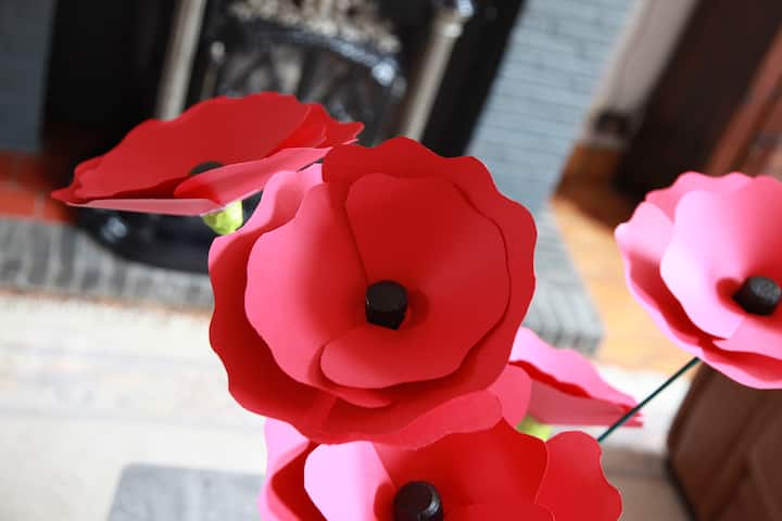 "Temps De Pose Ypres" Guesthouse Met Een Uitzicht - Ypres
