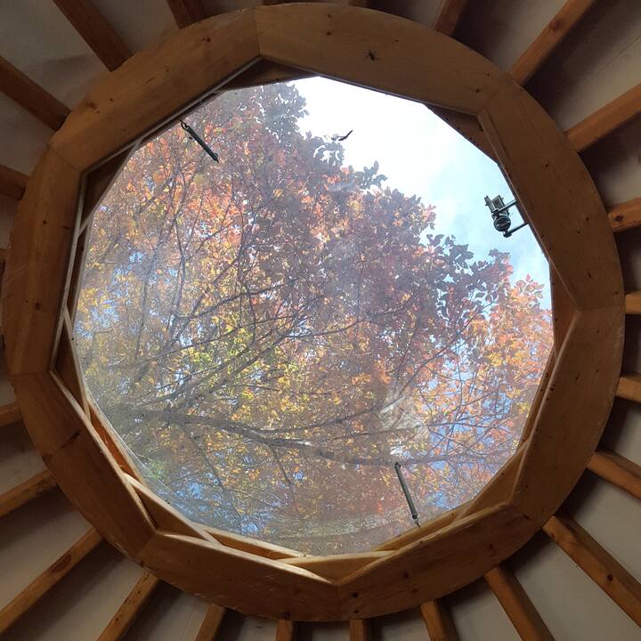 Top 21 Spots For Glamping In Virginia, USA - Updated 2022 | Trip101