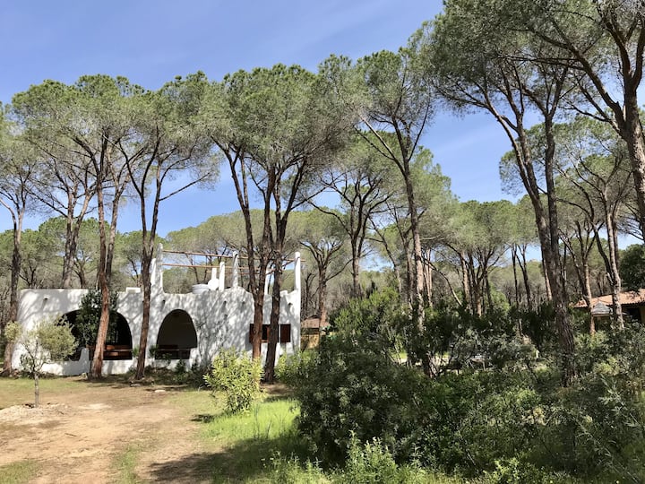 Un'oasi Verde Di Tranquillita' A 2 Passi Dal Mare - Sardinia