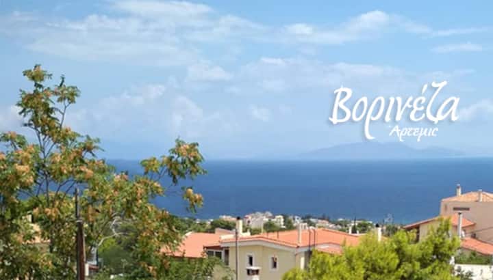 ΗΛΙΑΧΤΙΔΑ Near Airport Επιπλ/νο ΔιαμέρισμαΑρτέμιδα - Луца