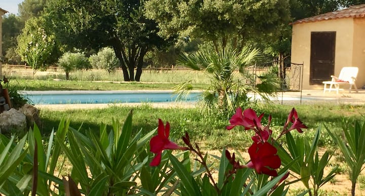 Coin De Paradis En Provence - Saint-Cannat