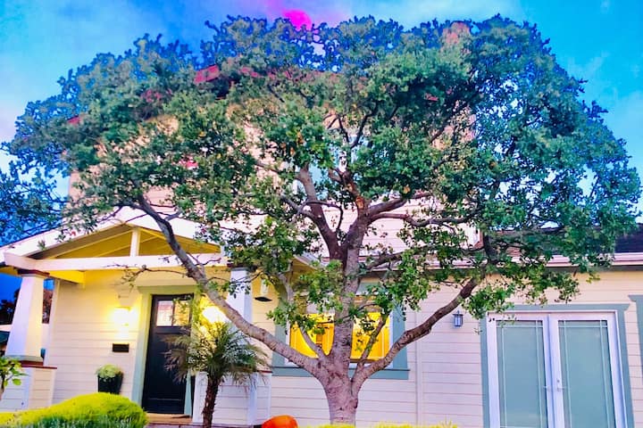 Otters Cove/ocean Views-walk To Beach/aquarium - Monterey, CA