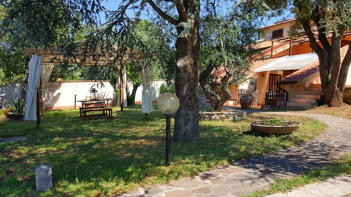 Casa Il Leccio - Campiglia Marittima
