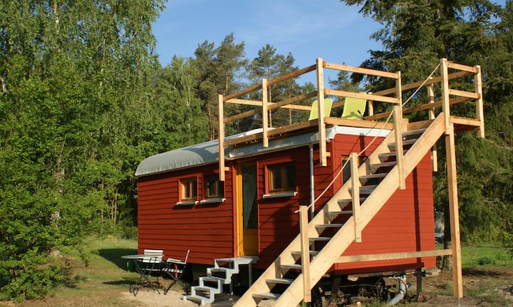 Sternschnuppen Zählen..... - Zehdenick