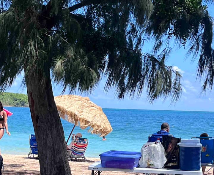 Blue Heron-fajardo, Puerto Rico - Fajardo