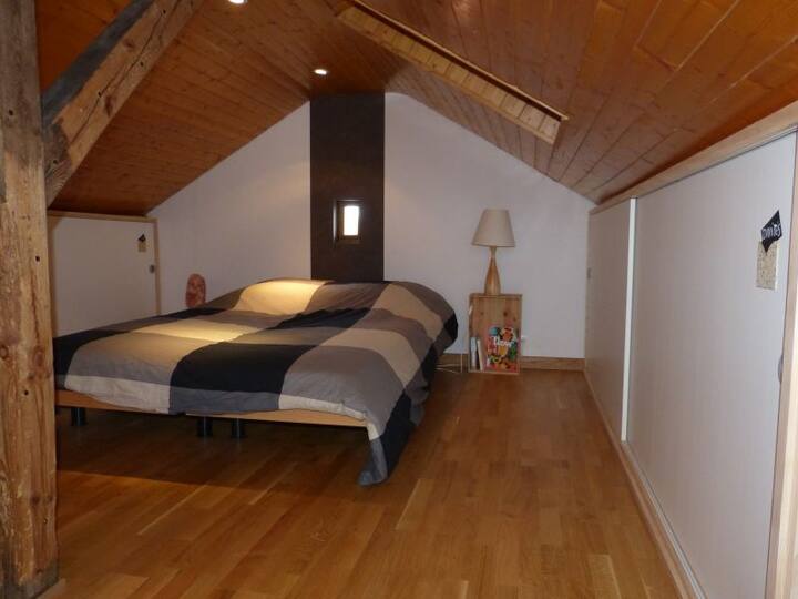 Chambre Spacieuse Et Lumineuse - Colmar