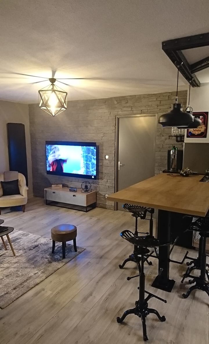 L'appart Industriel Cocooning: Gare/l'oiselet - Villefontaine