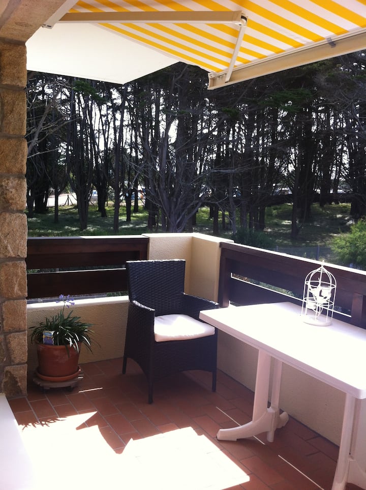Appartement De 30 M2 , Meublé En Résidence - Quiberon