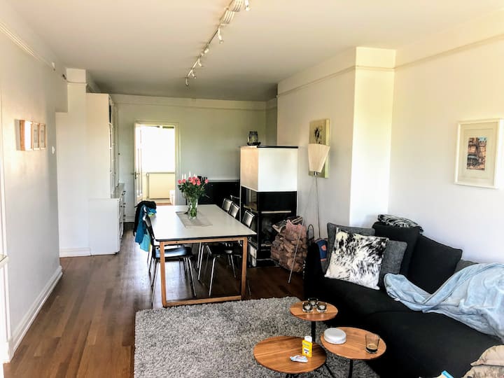 Sentral Og Luftig Leilighet - Oslo