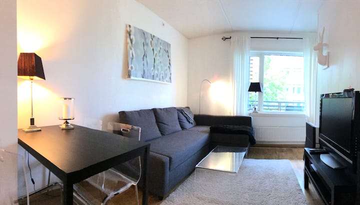 Apartement In Central Oslo - Oslo