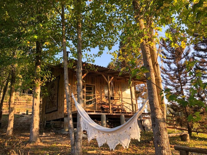 Cabana Lavanda Na Montanha De Campo Alegre - Campo Alegre
