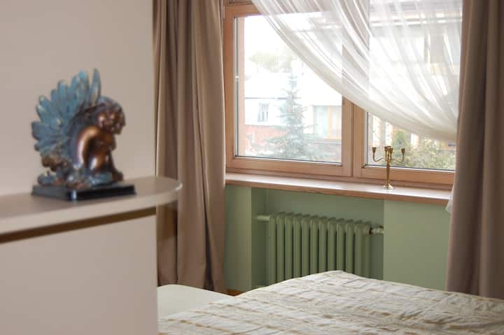 Bright & Spacious Home In The Central Art Deco Kun - Kaunas