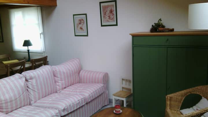 Gîte Des Gentianes En Pleine Nature 6 Personnes - Bussang
