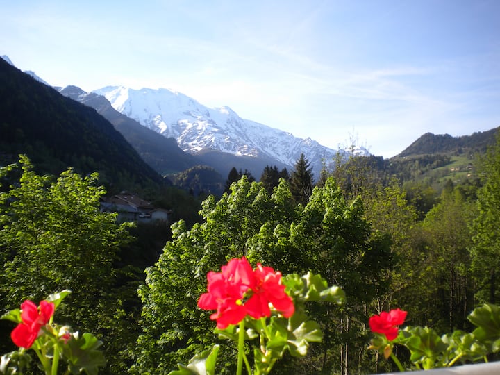 Gîte "Chamois" Vue Face à La  Chaîne Du Mont-blanc - Saint-Gervais-les-Bains