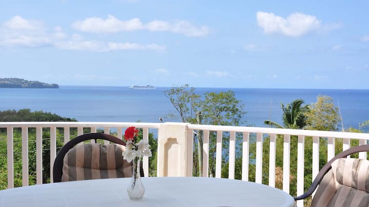 Ocean Views Purple Parrot Villa, Walk To 2 Beaches - Saint Lucia