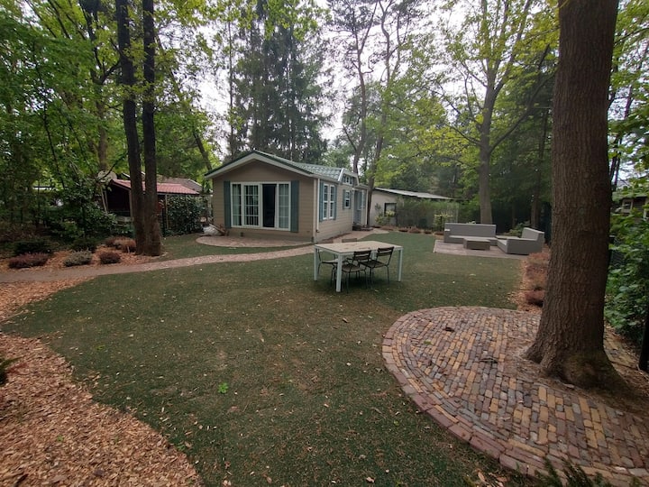 Bos Chalet Huize Vriendschap - Hattem